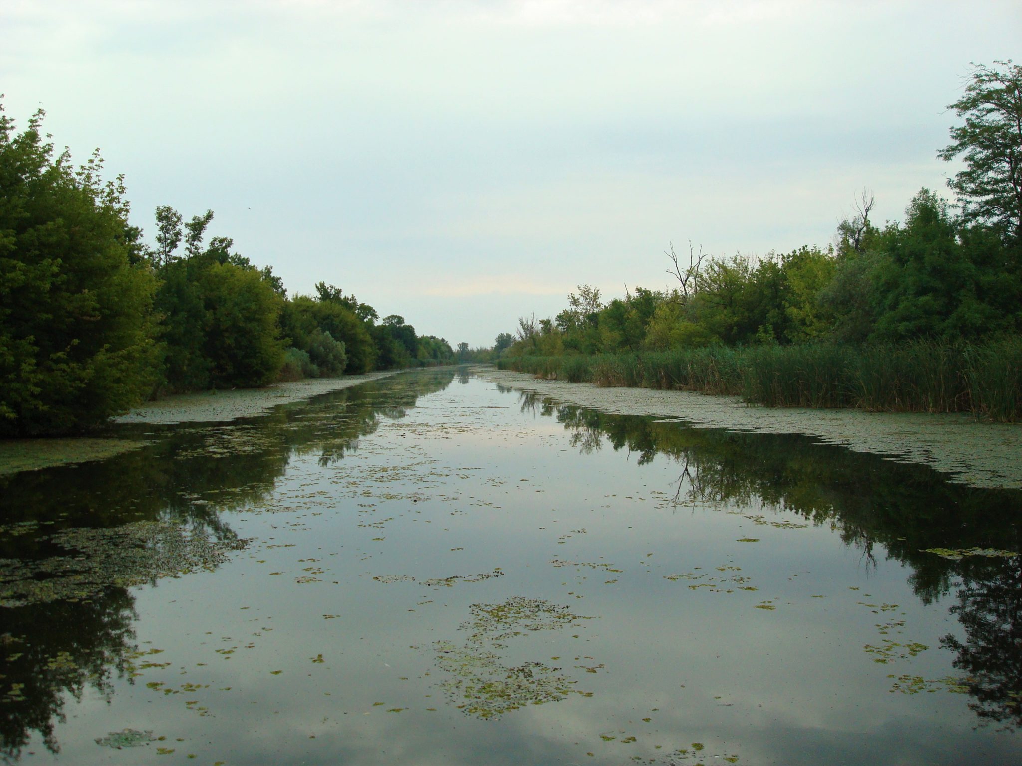 Specijalni rezervat prirode „Stari Begej-Carska bara“ – GDRSBL